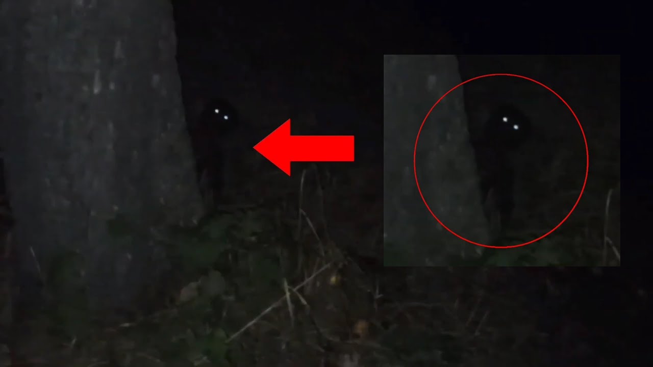 Sneaky sasquatch caught on camera | all the strange strange creatures ...