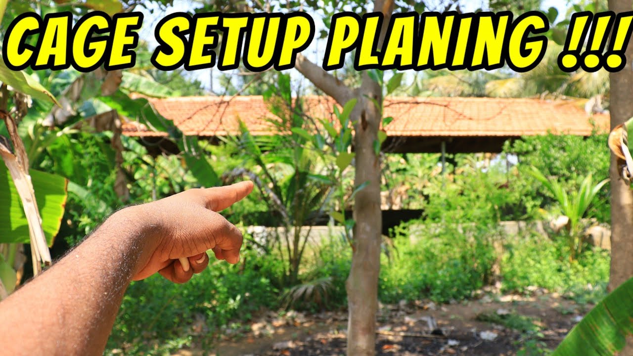 🕊️💥 Pigeon Cage Setup Planing In Our New Farm House | - YouTube