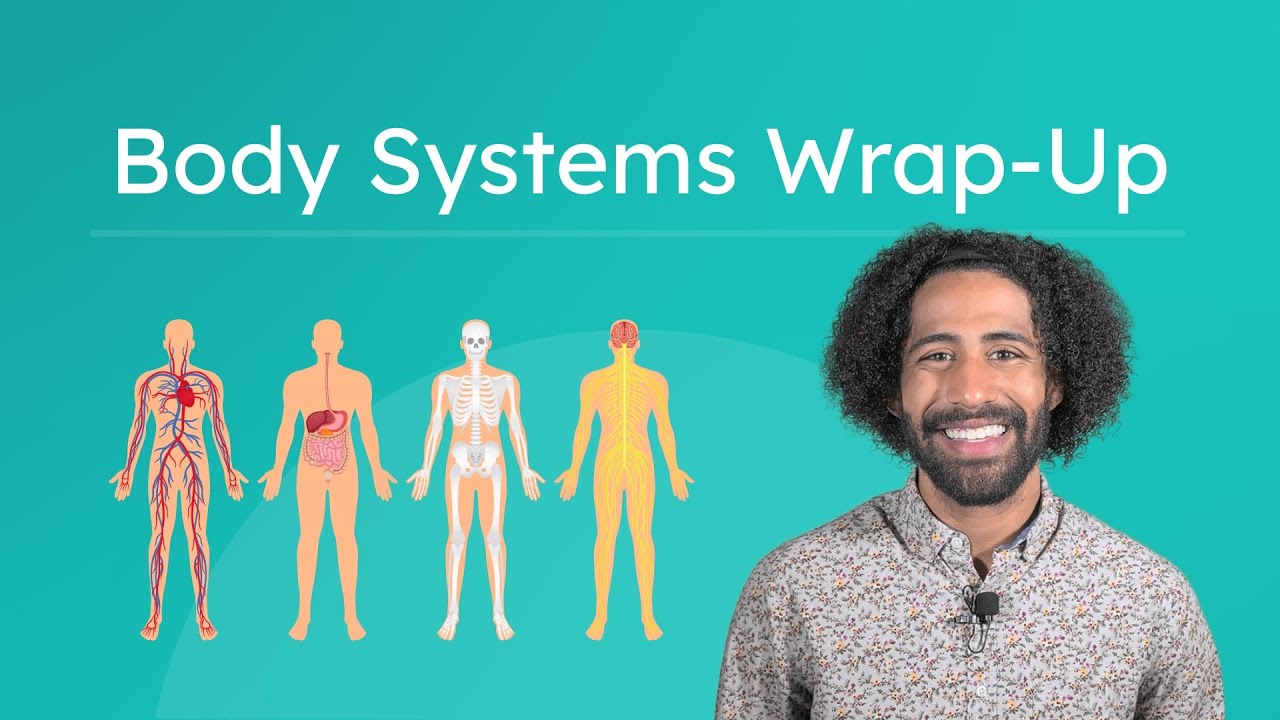 Body Systems Wrap-Up - Functions of Key Human Body Systems - YouTube