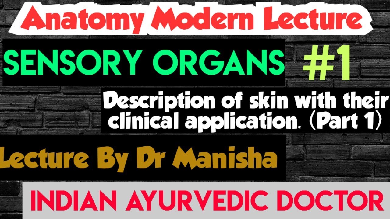 Anatomy Modern Lecture | Sensory Organs | Description of skin With ...
