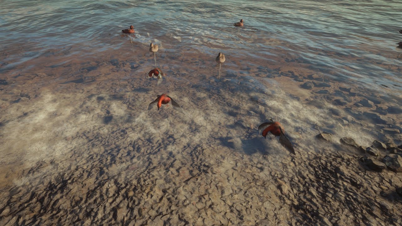 TheHunter Call Of The Wild!! Parque Fernando 3 Cinnamon Teal Diamond ...