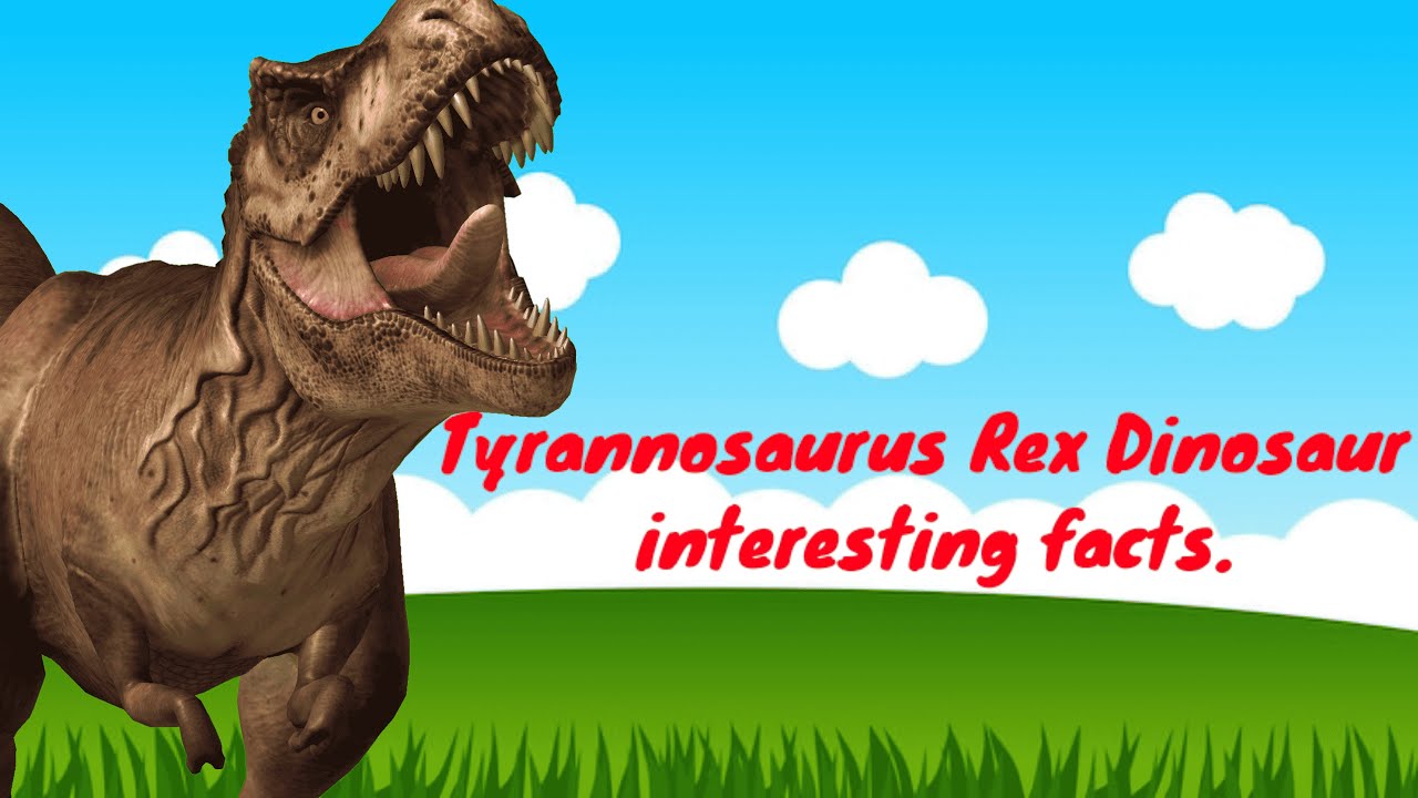 Dinosaur cartoon animation for entertainment with interesting facts,T ...