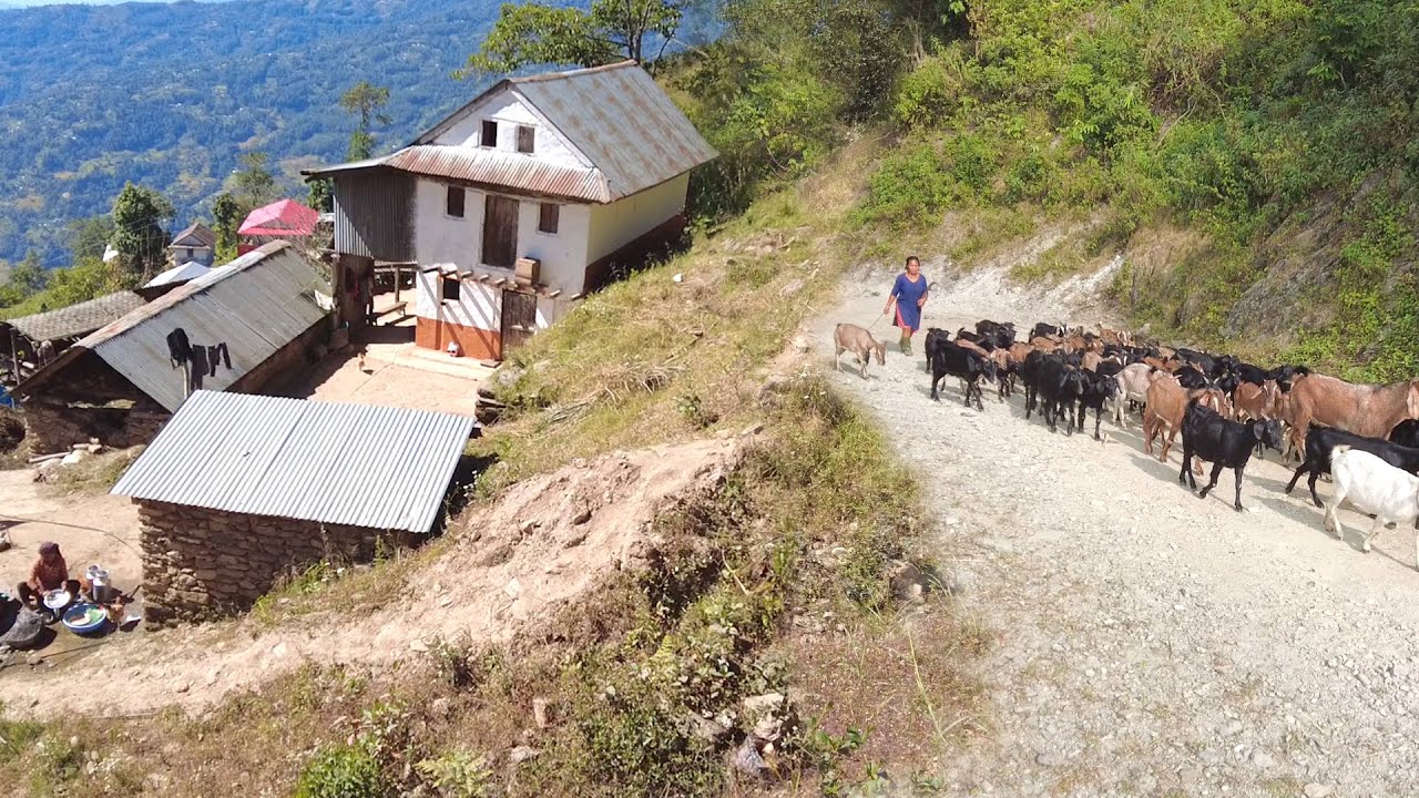 Traditional Remote Mountain Village Lifestyle-Lovely Nature and People ...