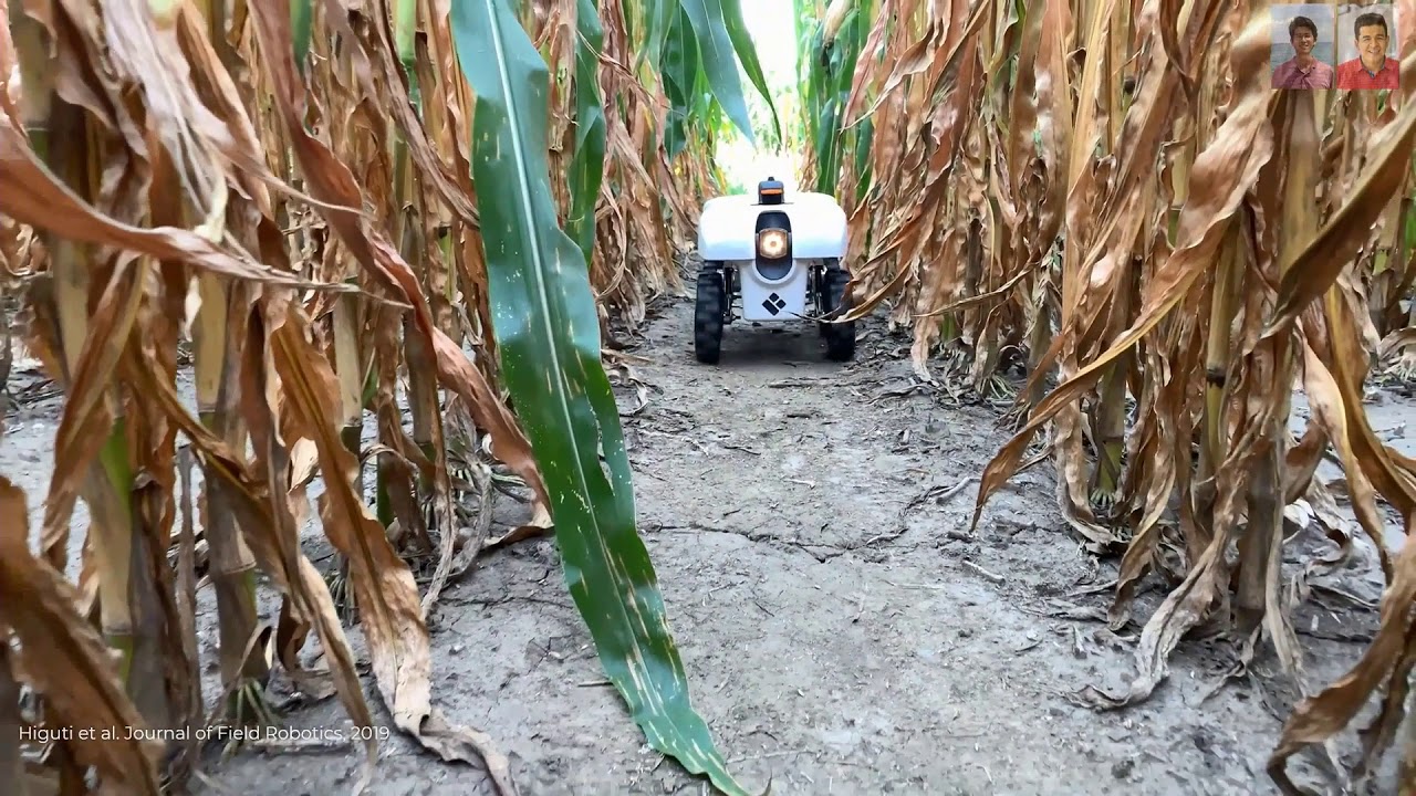 TerraSentia robot navigates a cornrow - YouTube