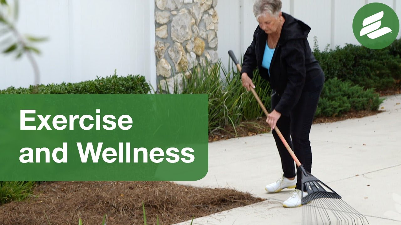 Learn The Difference Between Exercise and Physical Activity – They're ...