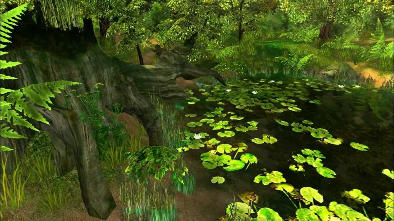 3Planesoft Premium 3D screensaver, Nature - YouTube