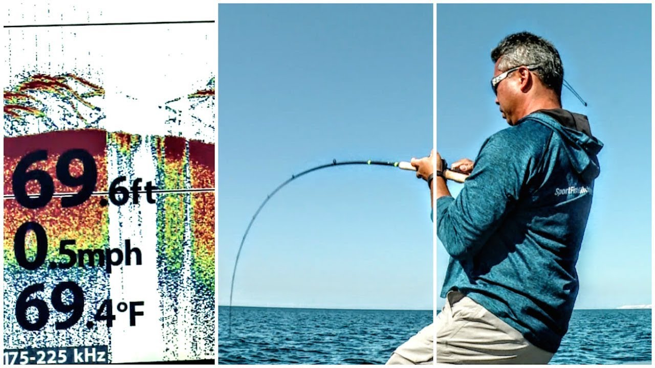 Step-by-Step: Vertical Jigging Coho Salmon - YouTube