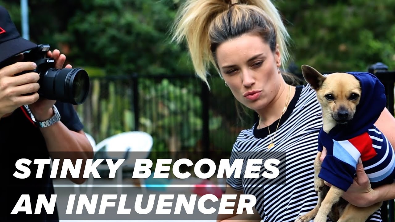 Stinky Becomes an Influencer || Keeping Up With The Cuties - YouTube