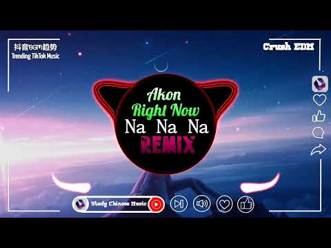 Akon - Right Now (Na Na Na) (抖音FKDJ版)｜最火BGM抖音｜Top Trending TikTok Gây Nghiện Hay Nhất