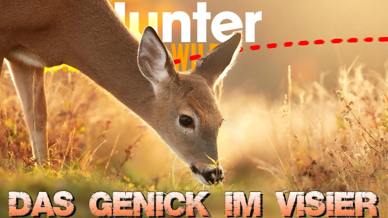 Den NACKEN im VISIER - Community Challenge! || theHunter Call of the ...