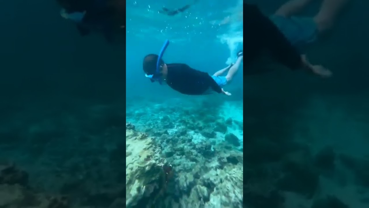 Finding Nemo | Pass Island Coron Palawan - YouTube
