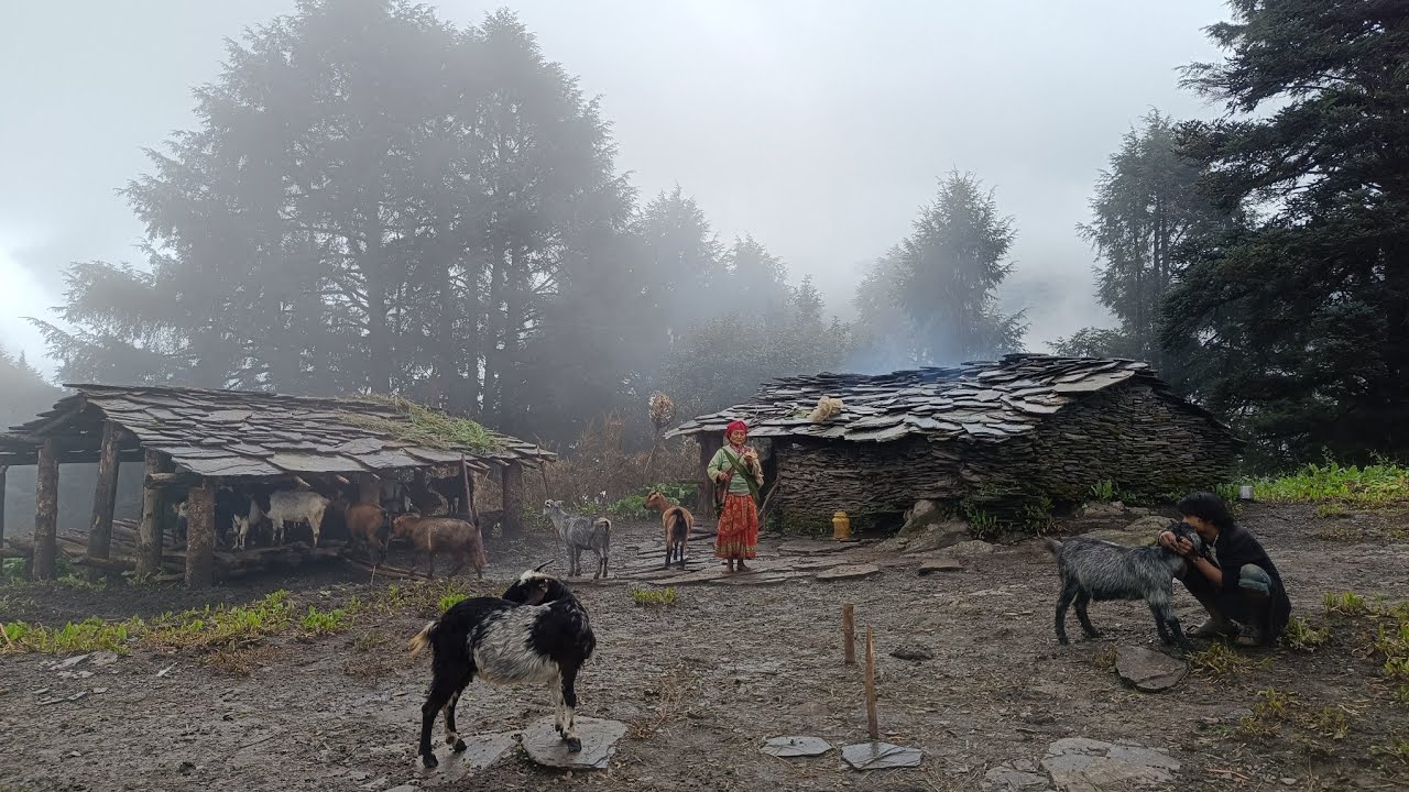 This IS Surviving Life in the Rural Village || Amazing Nature Rural ...