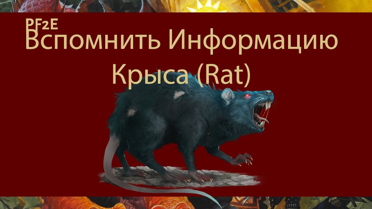 TS-PF2E - Вспомнить Информацию - Крыса (Rat) - YouTube