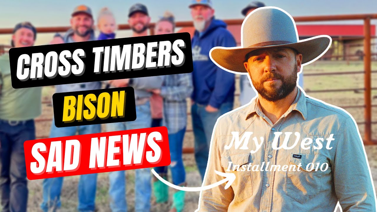 What Really Happened To Cross Timbers Bison? - YouTube