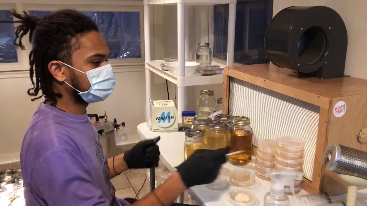 How I Make Liquid Culture pt2 - YouTube