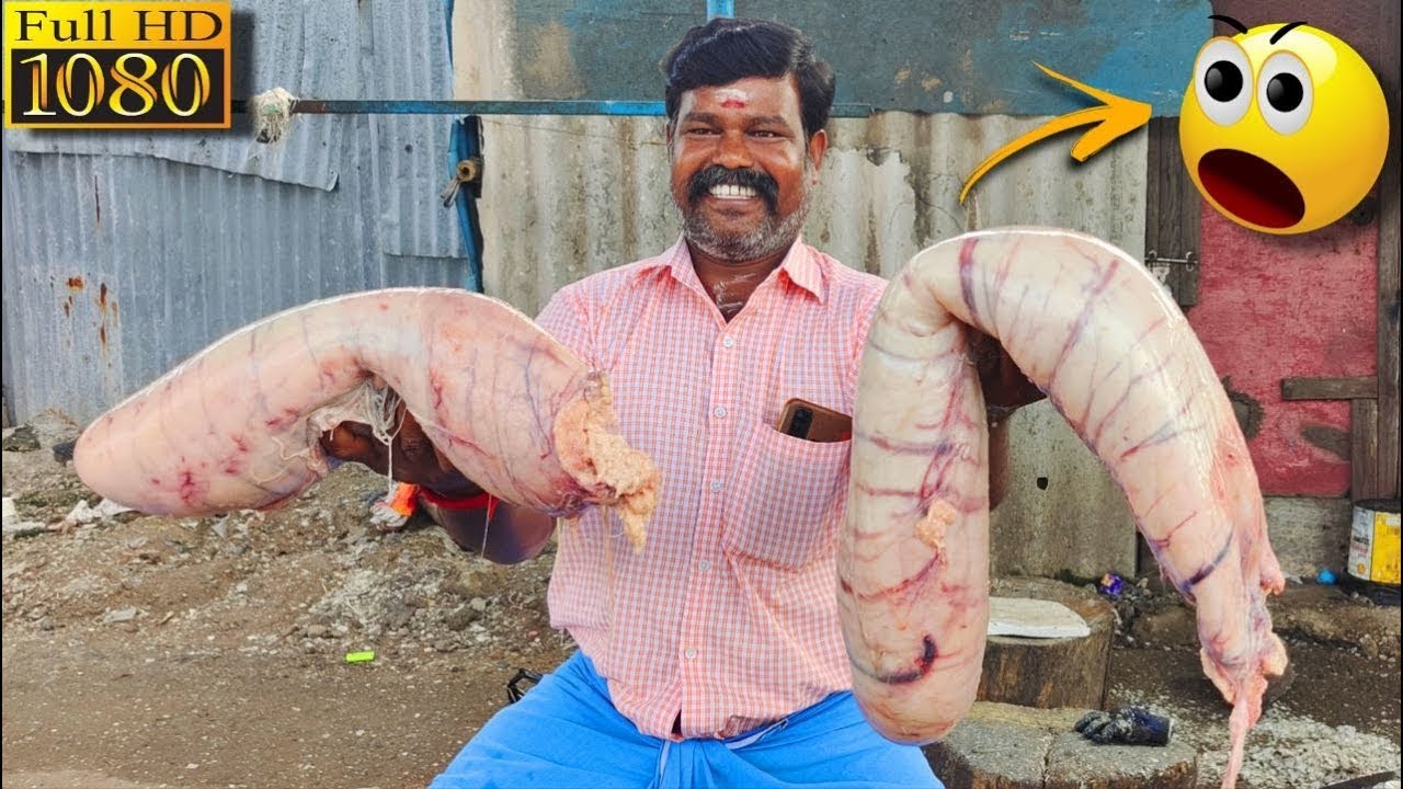 IMPORTED FISH BIGGEST EGGS OMG 😱 | KASIMEDU CHEETAH DURAI🔥 FISH EGG ...