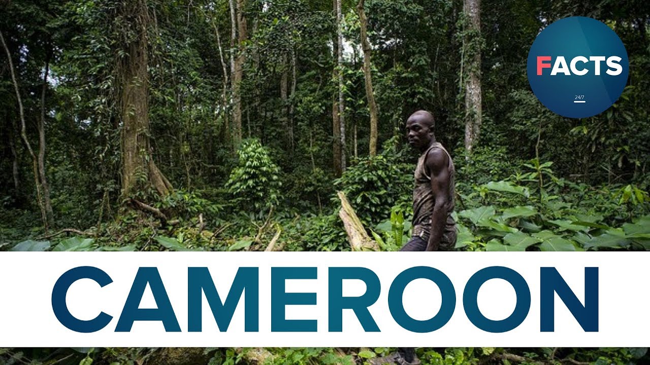 Top 10 Facts - Cameroon // topfact.net - YouTube