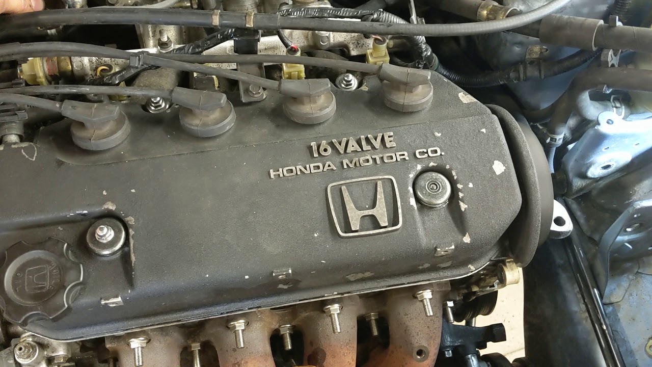 Built D16a6 start up - YouTube