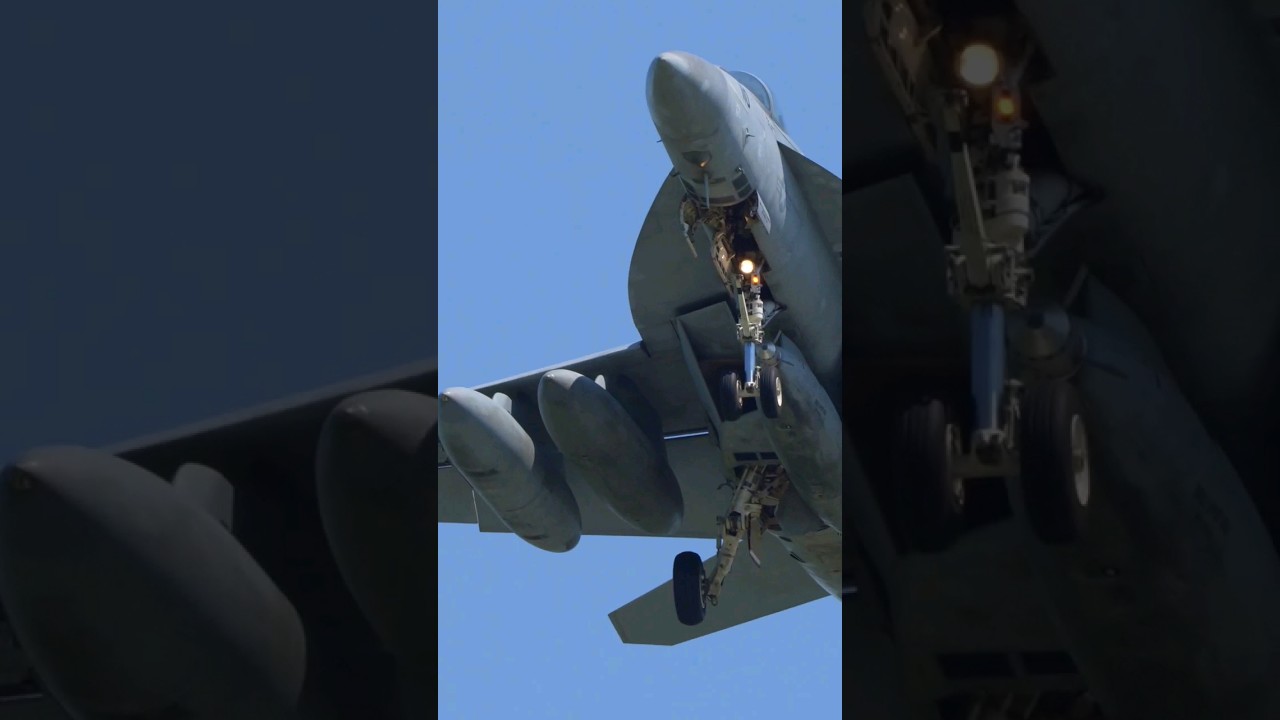 VFA-143 Pukin' Dogs out of NAS Oceana! #f18superhornet #f18 #usnavy # ...