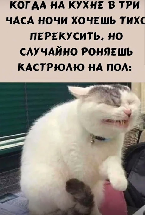ПовМемКотМемОзвучка О да это я Youtube