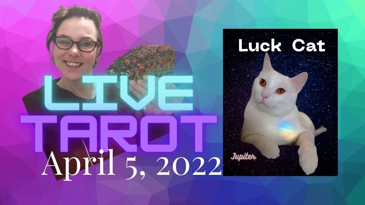 Tarot & Oracle Live Stream Card for the Day | Everyone Welcome! Tues ...