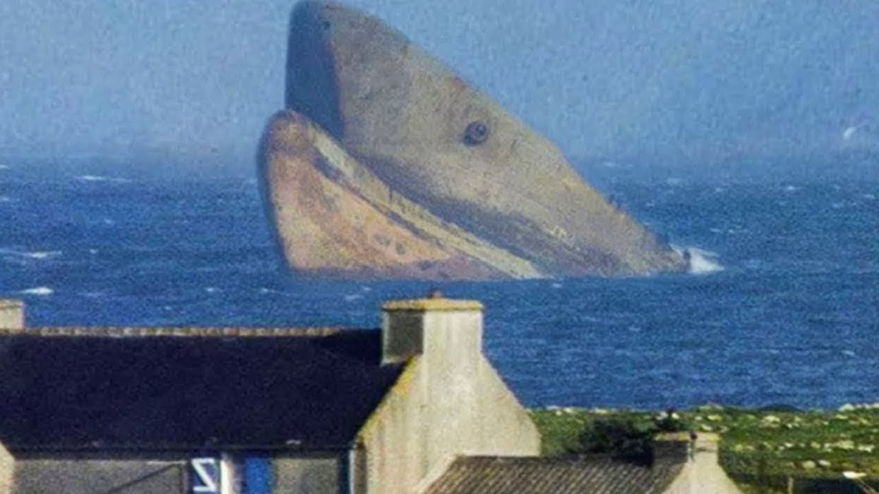 15 Biggest Sea Monsters Ever - YouTube