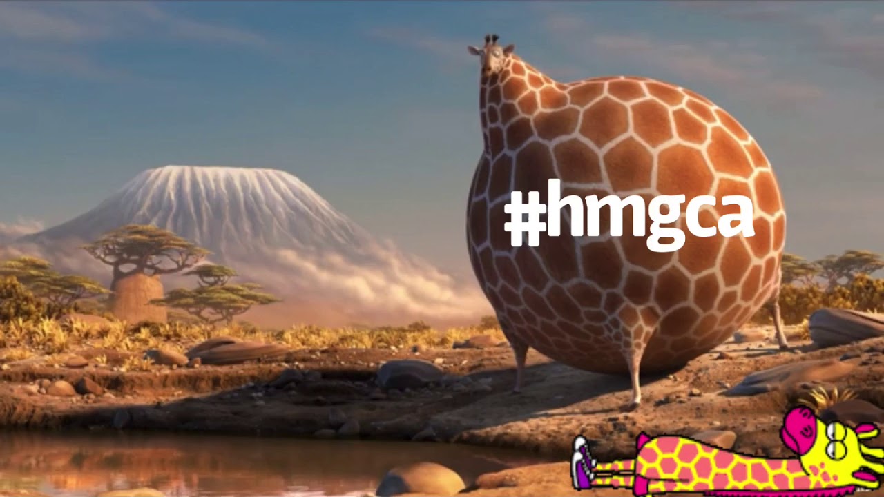 100th video fat giraffe - YouTube