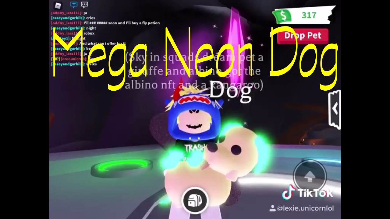 Making A Mega Neon Dog - YouTube