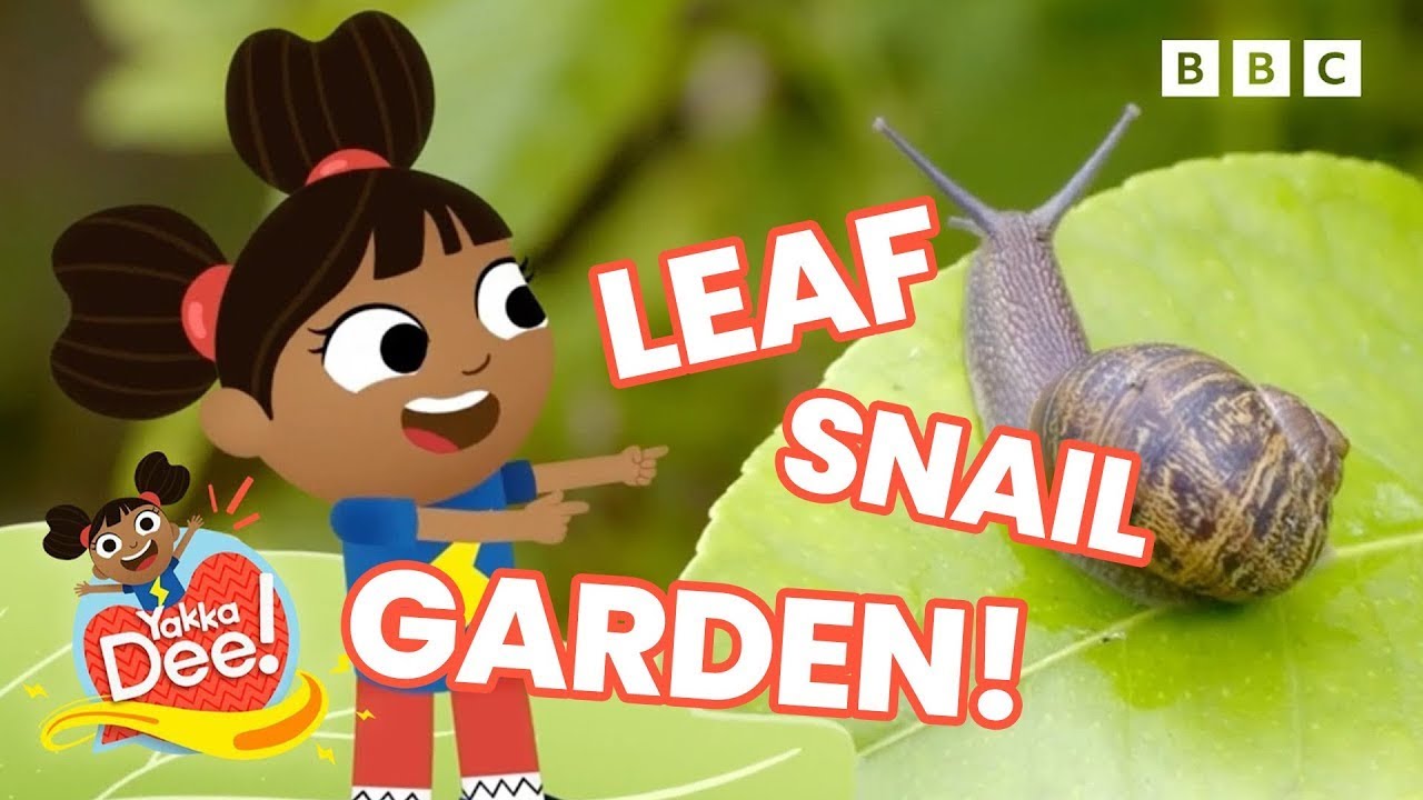 🔴LIVE: Learn Outdoors with Dee | Nature, Weather, Bugs and more ...