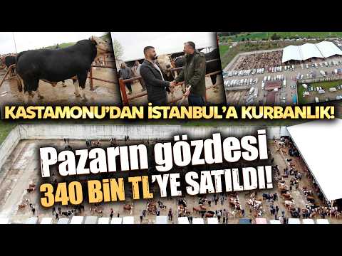 Kurban Bayramı Öncesi Pazarda Hareketlilik Arttı
