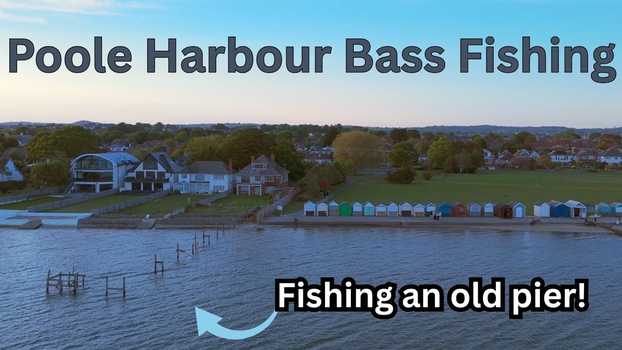 Lure Fishing For Bass - Poole Harbour Dorset - YouTube