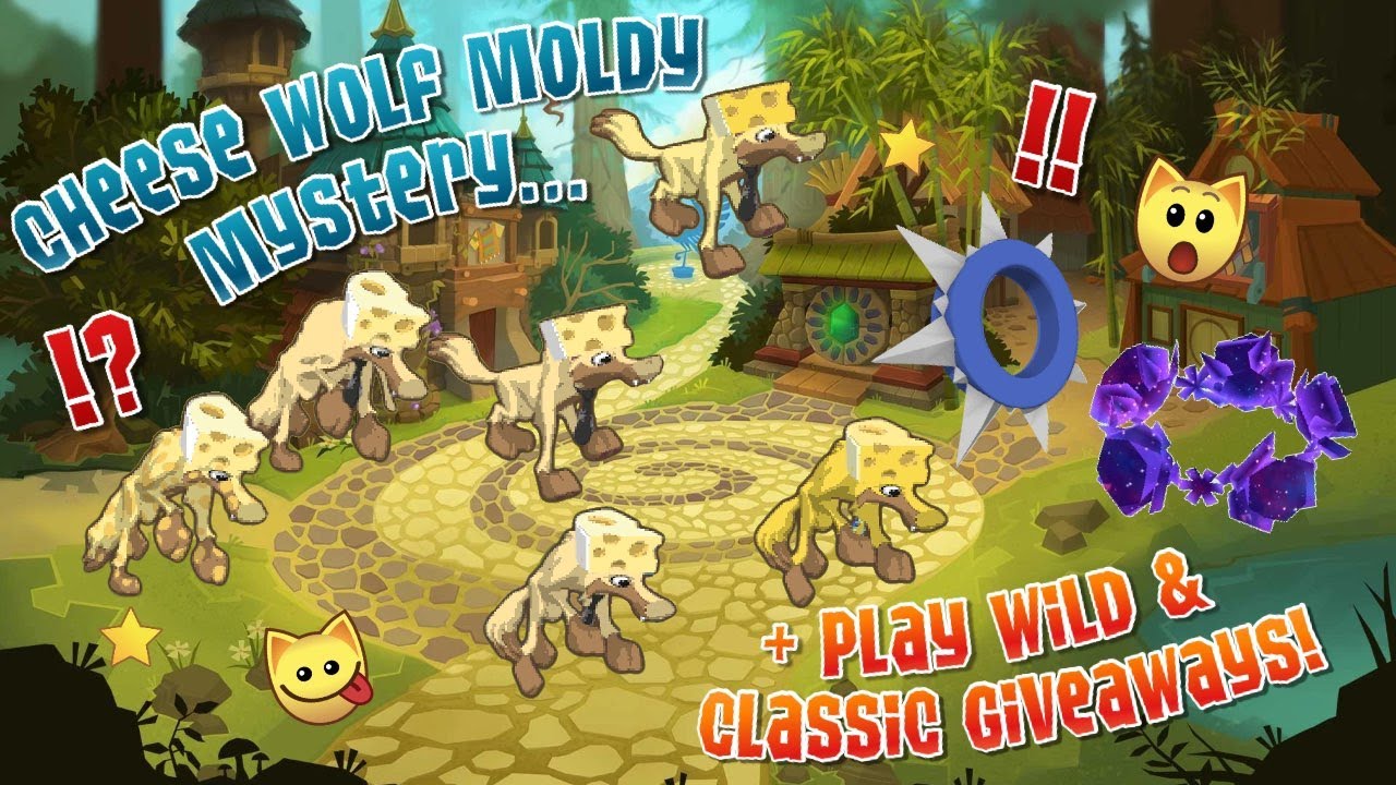 🦠 Cheese Wolf MOLDY Mystery | ANIMAL JAM GIVEAWAY | #animaljam - YouTube