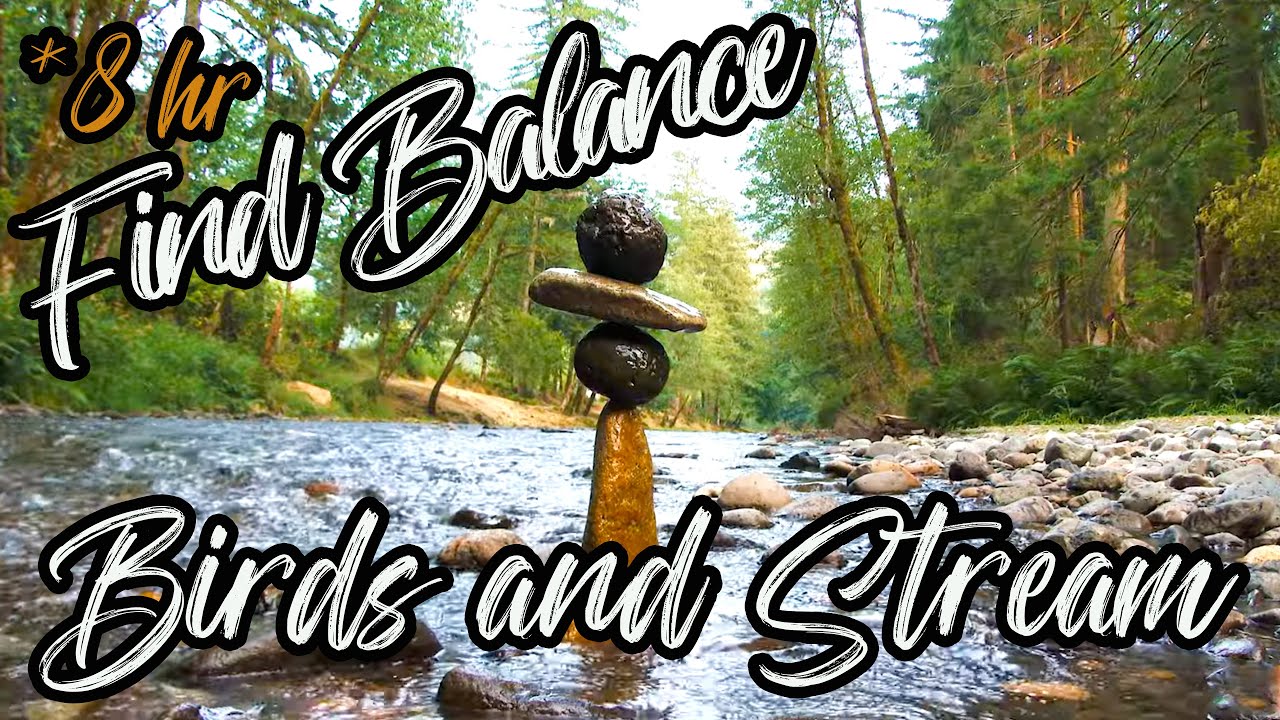 Relaxing Stream Birds Chirping Stream & Birdsongs Sounds For Sleep ...