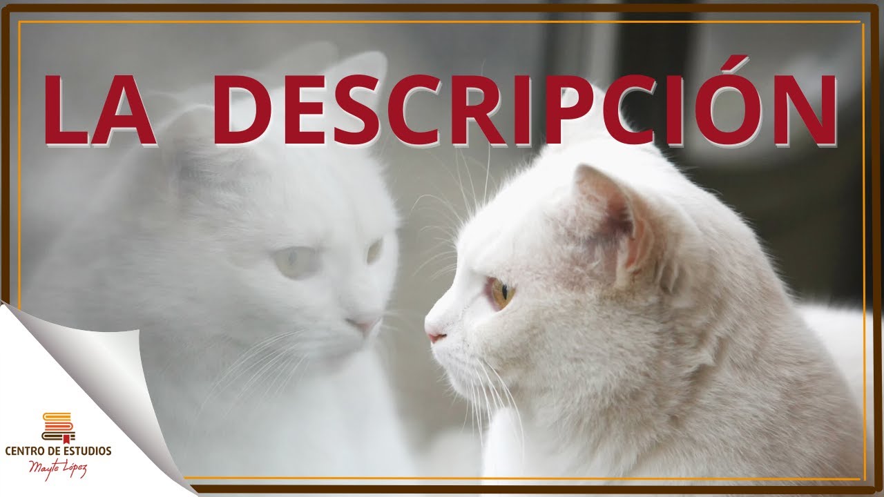 La DESCRIPCIÓN.📕 Definición, Clasificación y pasos a seguir ( RETRATO ...