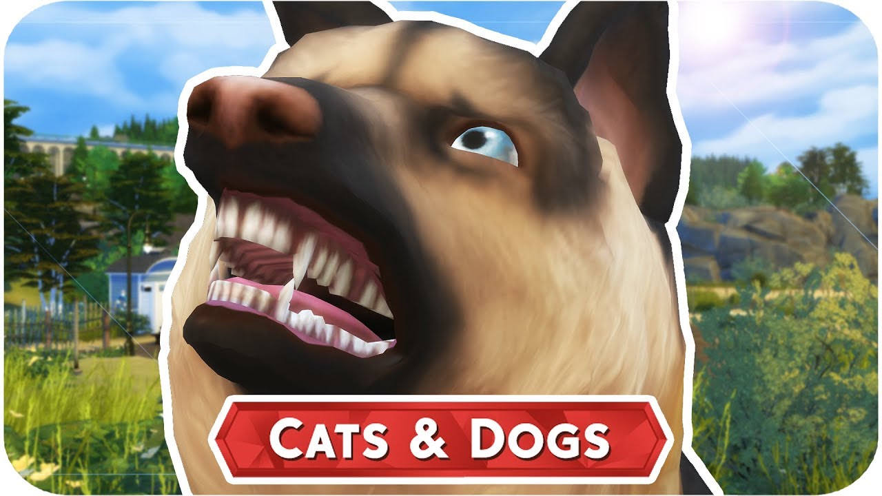 SWAMP MOUTH! 🐱🐶 THE SIMS 4 // CATS AND DOGS — PART 10 - YouTube