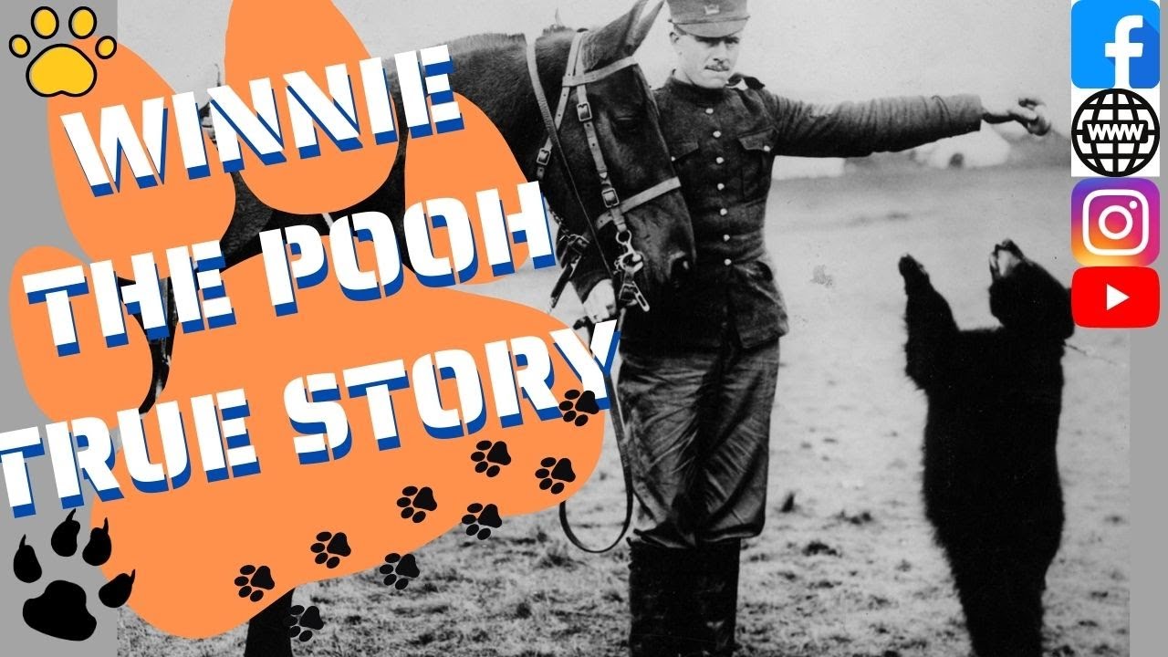 WINNIE THE POOH la vera storia - The true story - YouTube