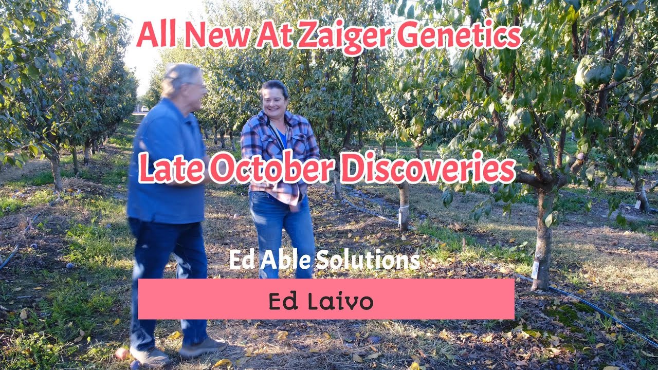 A Late October Visit To The Orchard Proves Rewarding On All New At ...