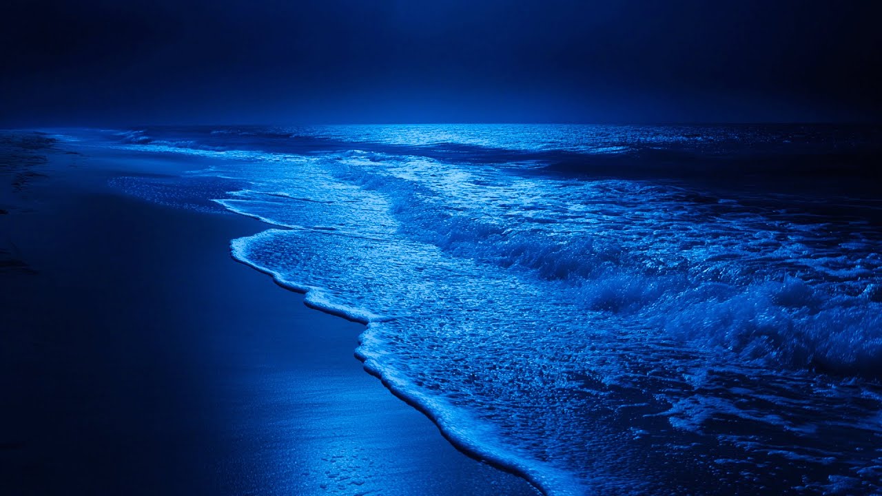 Calming Beach Waves at Night to Help You Unwind, Relieve Stress and ...