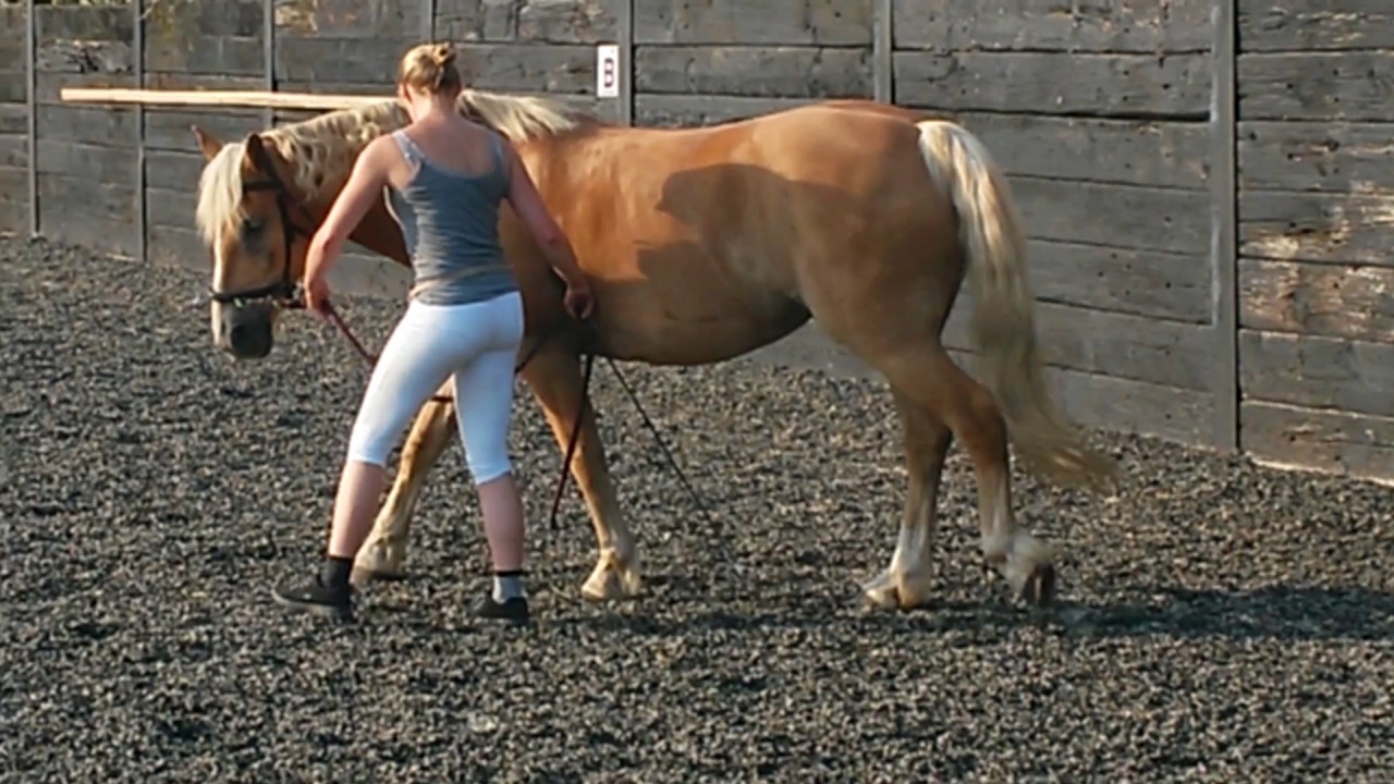 Straight training gw1 - Sofie - YouTube