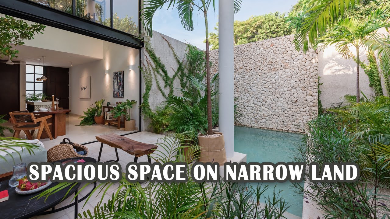 House Design Idea On Narrow Land That Can Provide a Fresh Tropical ...