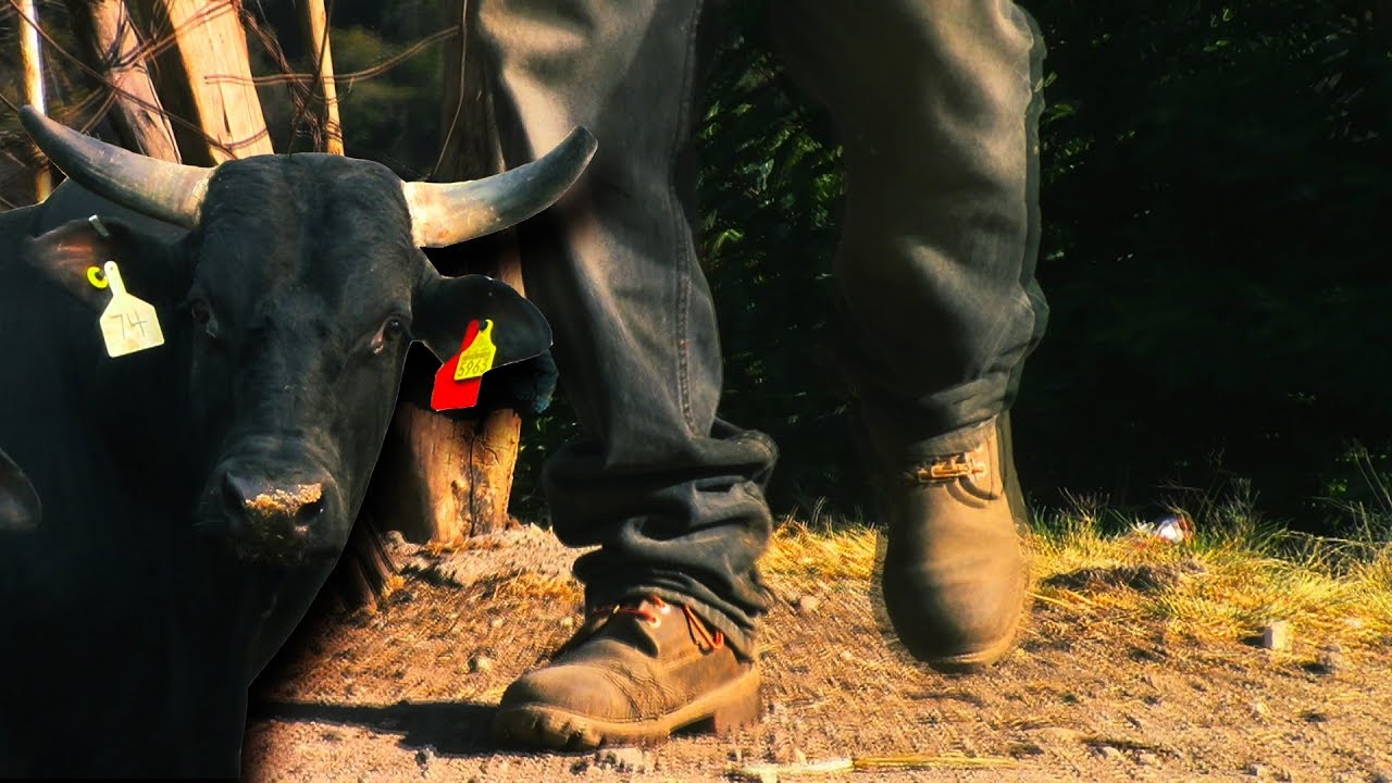 VIDEO OFICIAL PRESENTACIÓN!! Rancho El Rosario De Meyuca De Morelos ...