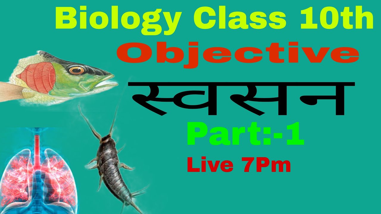 Class 10th Biology Objective Chapter 2 (स्वसन ) - YouTube