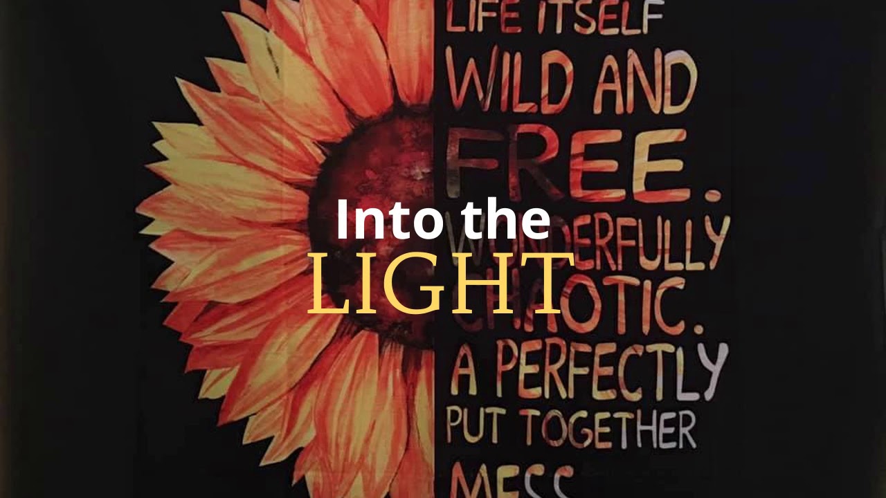 The Symbolism and Story of the Beautiful Sunflower - it appears in your ...