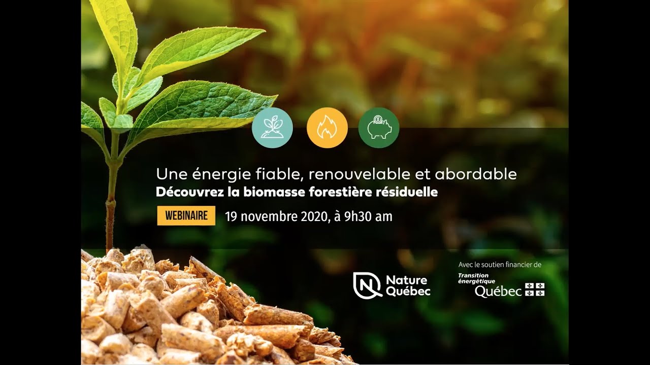 Une énergie fiable, renouvelable et abordable : découvrez la biomasse ...