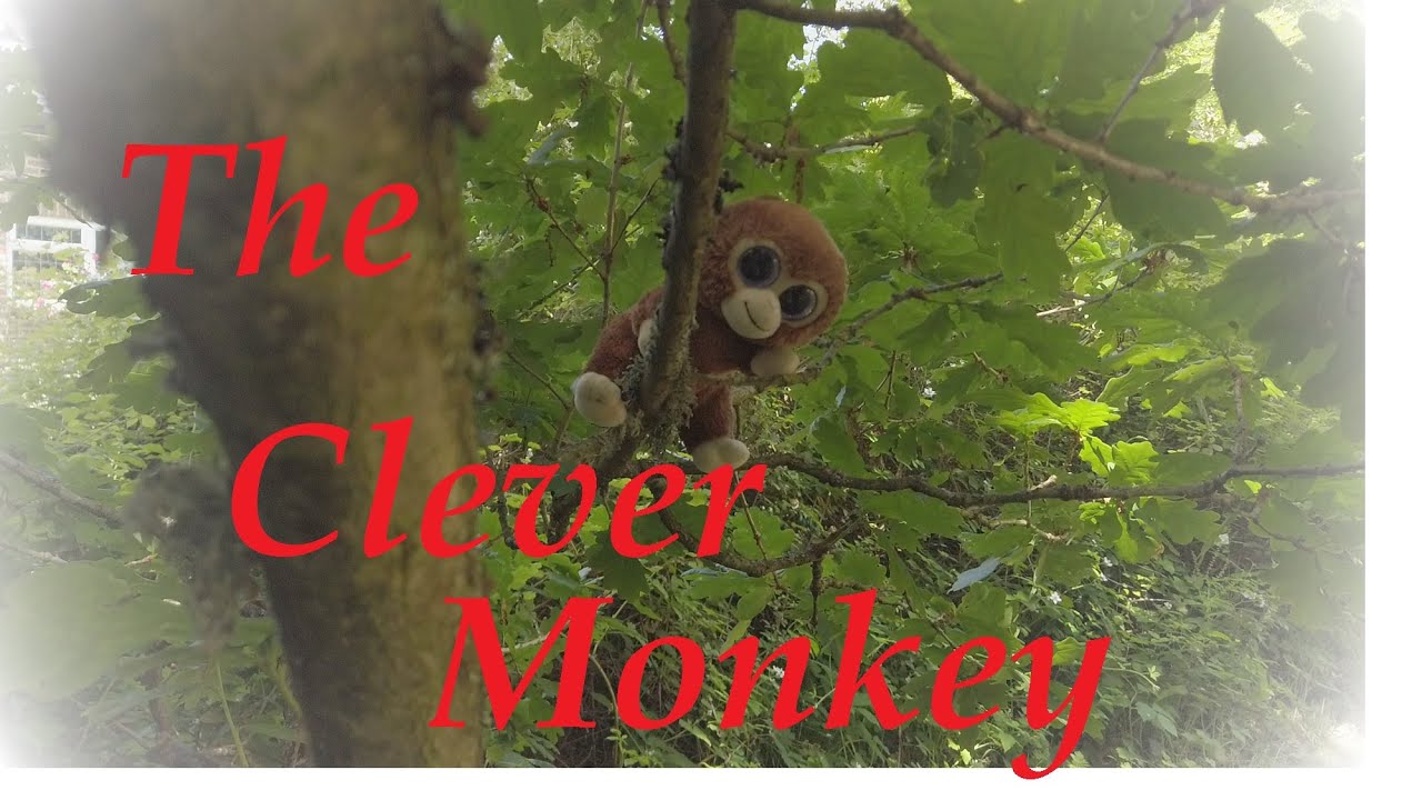 The Clever Monkey Test Video YouTube the-clever-monkey-test-video-youtube