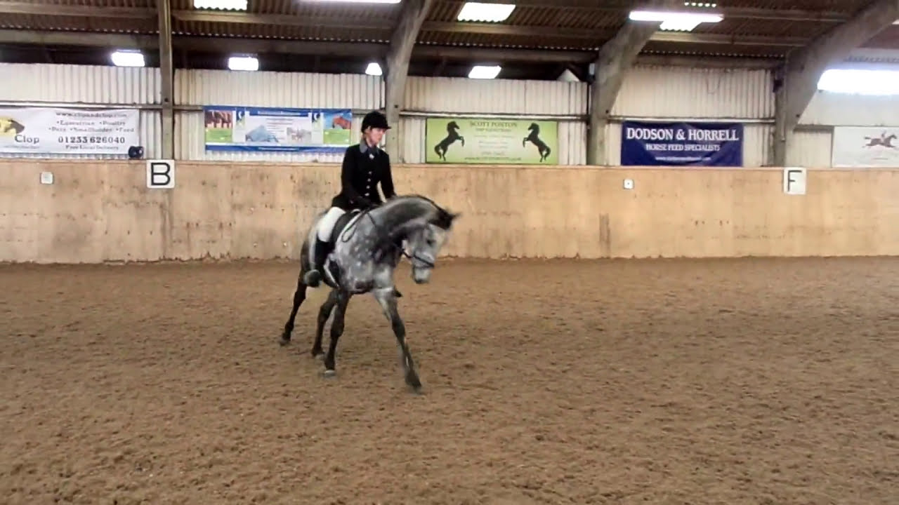 Cosmic Curious BD prelim 13 - YouTube