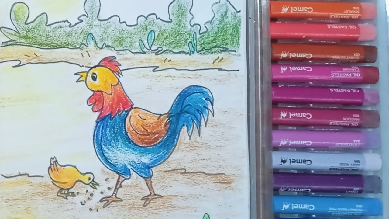 colourful hen ll cock drawing easy ll art ll drawing - YouTube