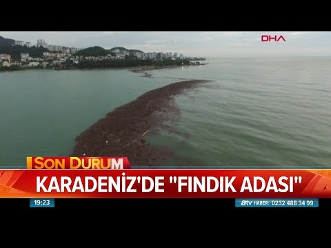 Tonlarca fındık denize aktı - Atv Haber 9 Ağustos 2018