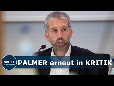TRANSFEINDLICHKEIT: Grünen Politikerin zeigt Boris Palmer wegen Beleidigung an