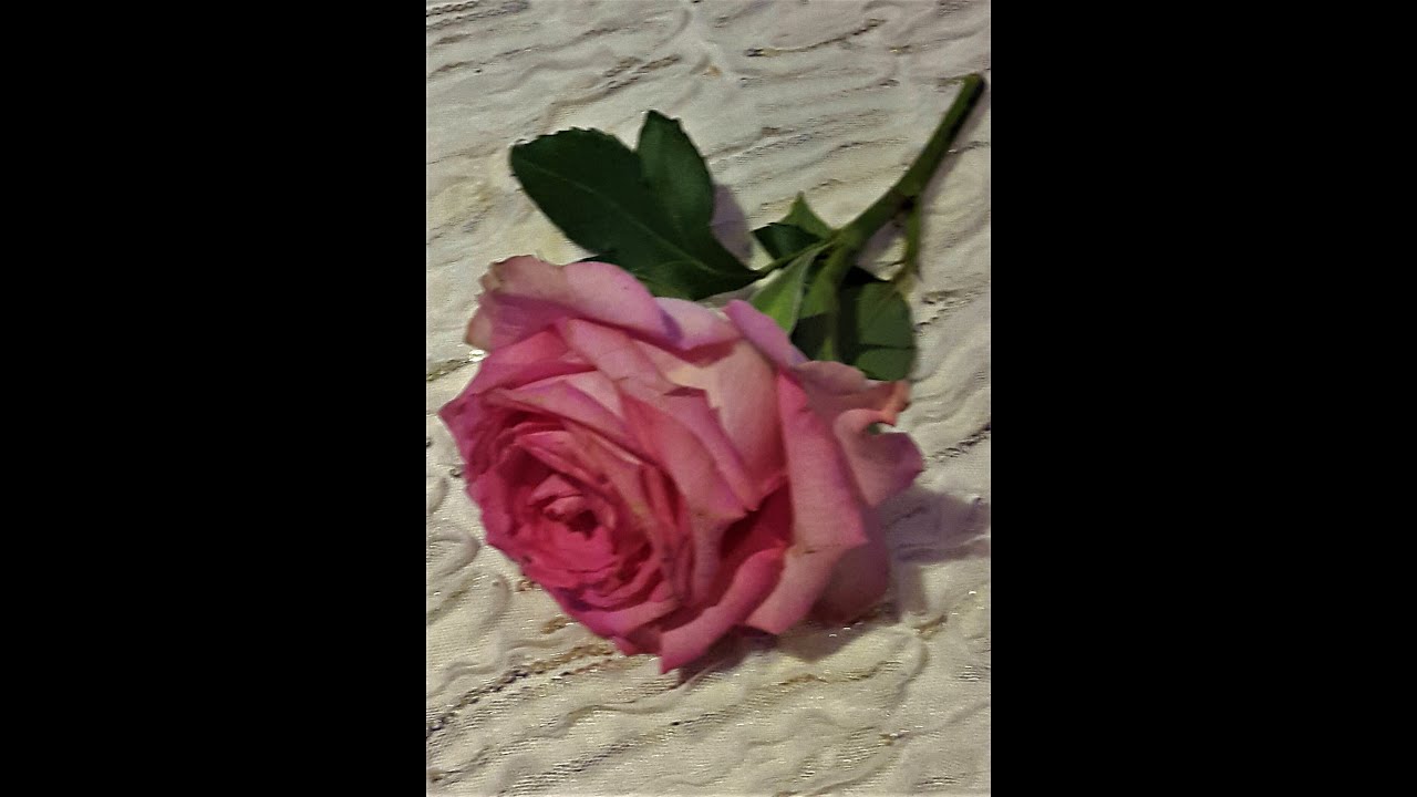 Caprice No 24 (Main Theme) by Niccolo Paganini - YouTube